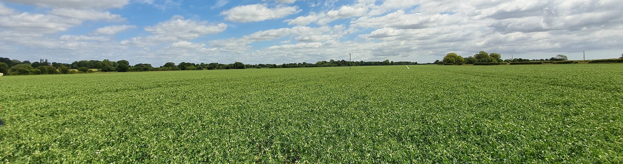 Seed Growing Contracts - Church of Bures